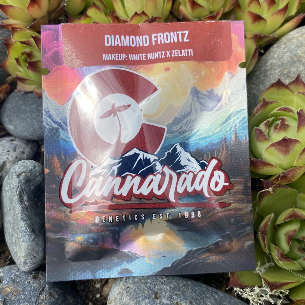 Diamond Frontz – (White Runtz x Zelatti) – Cannarado Genetics