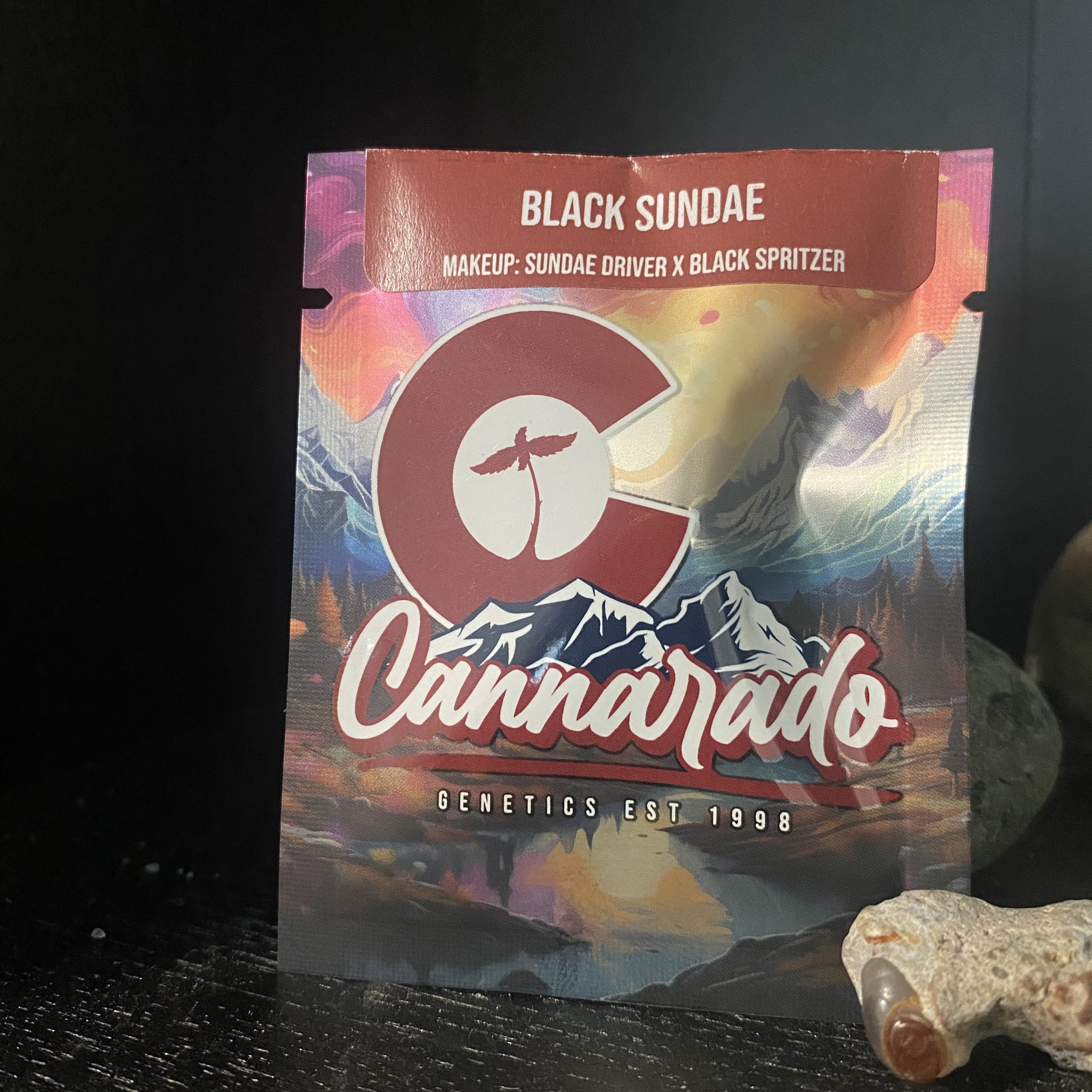 Black Sundae – (Sundae Driver x Black Spritzer) – Cannarado Genetics