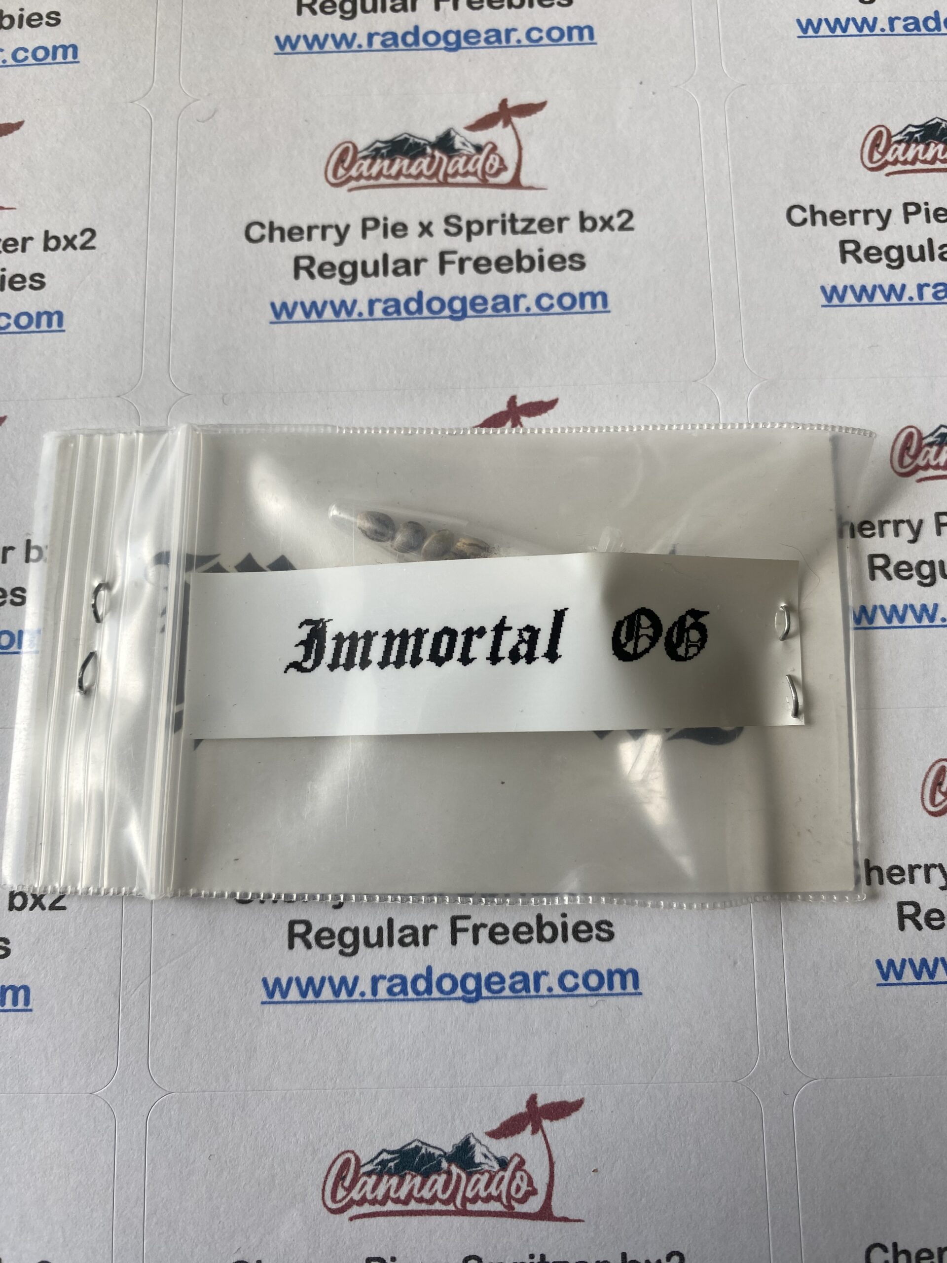 Illuminati Seeds – Immortal OG – Famine (Chemdawg 3 x Pestilence) x ...